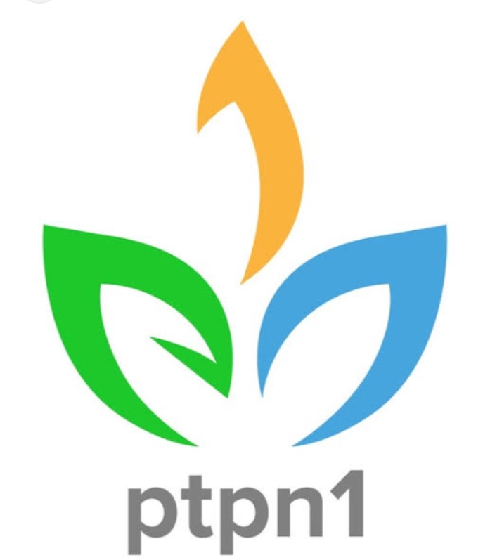 BUMN PTPN 1 Buka Lowongan Magang, Bagi Fresh Graduate, Berikut Daftar ...